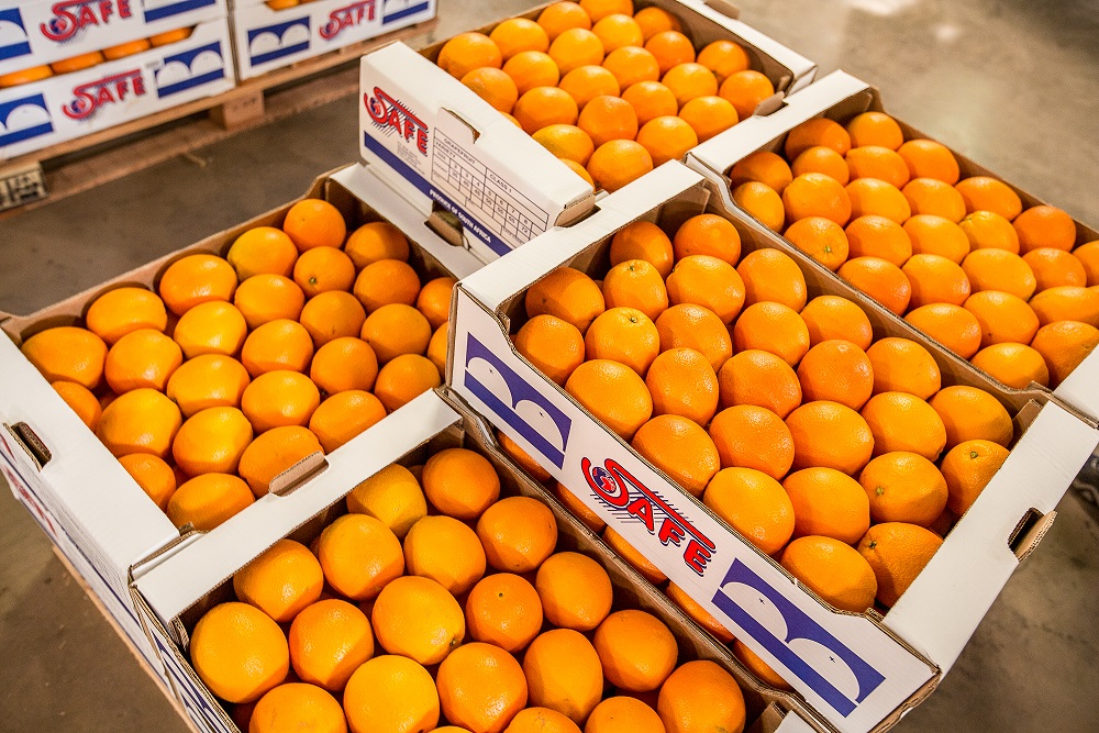 Scientific investment in farming delivers “excellent” SAFE citrus ...